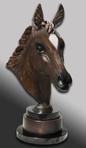 “Spirit of Cheyenne Head Study” – Exposures International Gallery of ...